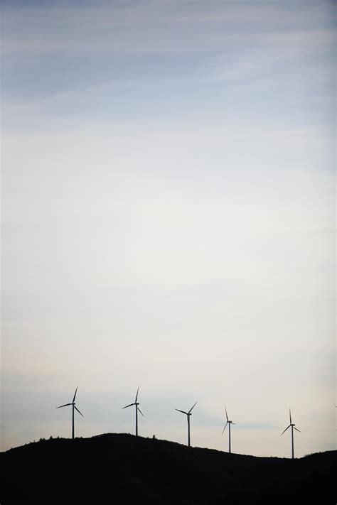 5 무료 초령목 And 풍력발전기 이미지 Pixabay