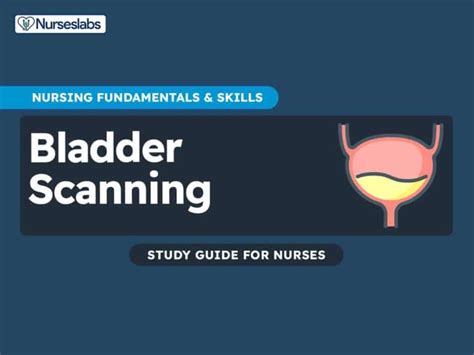 Measuring Urine Output Nurseslabs