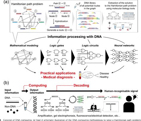 Figure 1 From Harnessing Dna Computing And Nanopore Decoding For Practical Applications From