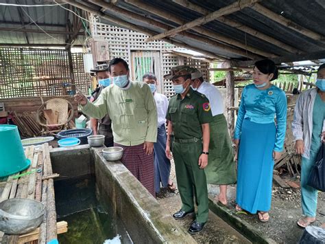 သွေးလွန်တုပ်ကွေးရောဂါ ကြိုတင်ကာကွယ်ရေးအတွက် ငဖဲမြို့မရပ်ကွက်တွင် အဘိတ်ဆေးခပ်ခြင်းများ ဆောင်ရွက