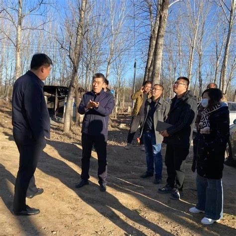 区园林绿化局一级调研员乔荣臣带队督导检查平原造林工作 整改 任务 林地和