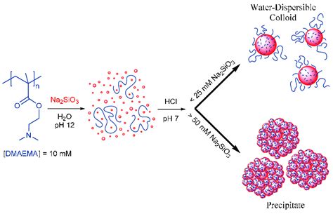 Acid Triggered Hydrolysis Of Sodium Silicate Na2sio3 And Subsequent