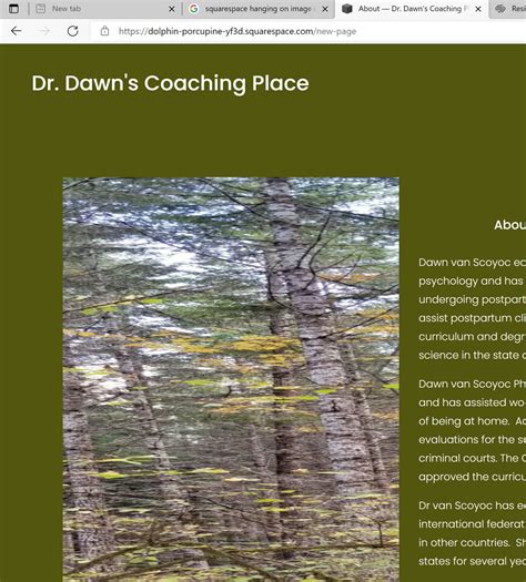 Image Distorted Stretched After Uploading Image And Saving Website