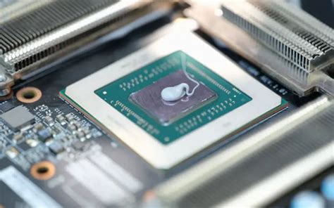 Is Thermal Paste Electrically Conductive Techcolleague