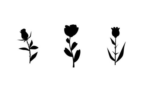 Flower Vector Silhouette Collection Graphic By Turan Chowdhury