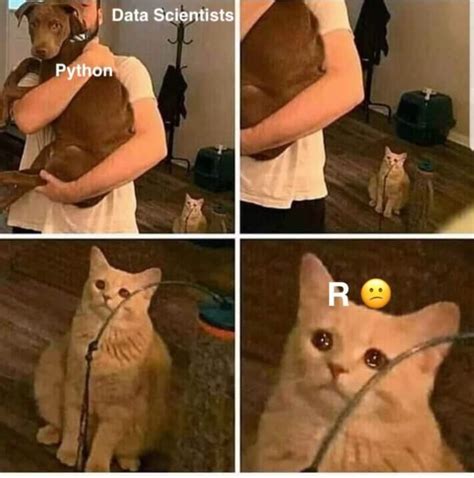 Python Vs R The Eternal Debate Data Scientists Love Python Its The