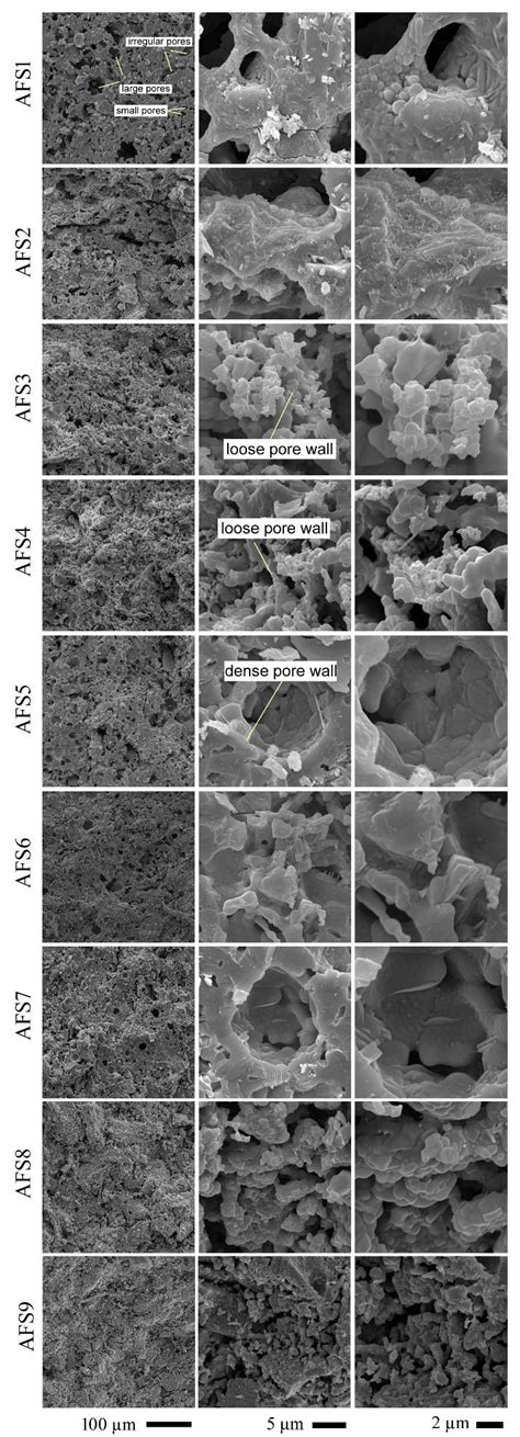 Sem Images At Different Magnifications Of Microstructures Of The Download Scientific Diagram