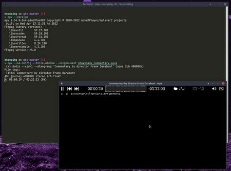 Gpu Next Audio Only Files Get 180° Rotated Video · Issue 10095 · Mpv
