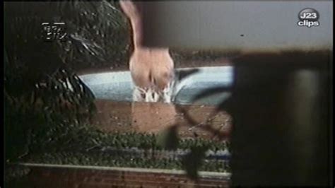 Naked Vera Gimenez In O Marginal