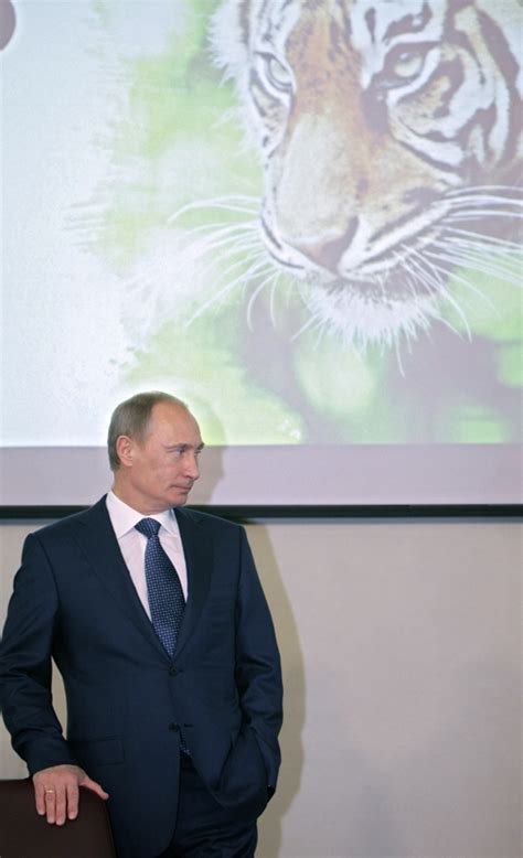 Putin Tiger