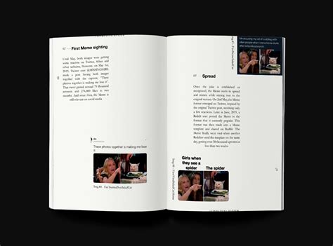 Politics Of Memes Uneeb Ahmad Uiux Designer