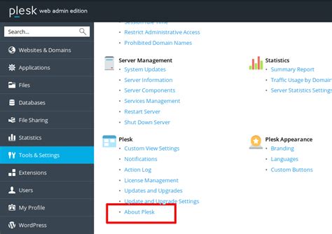 Find Plesk License Key Serverok