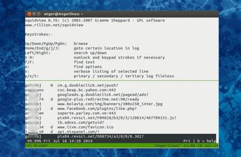 Monitorizando El Accesslog Del Proxy Squid Con Squidview La Mirada