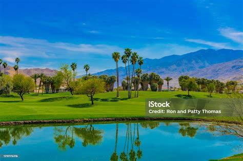 팜 스프링스 캘리포니아에서 녹색 벨트와 연못 을 줄 팜 나무 팜 스프링스 캘리포니아에 대한 스톡 사진 및 기타 이미지 팜 스프링스 캘리포니아 산 팜 데저트 Istock