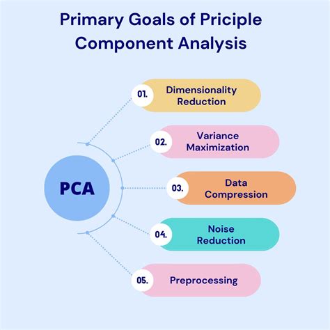 Yasaman R On Linkedin Datanalytics Machinelearning Machinelearningalgorithms Datascience