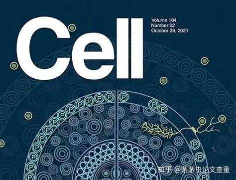 国内外研究现状怎么写这几招让你快速完成 知乎