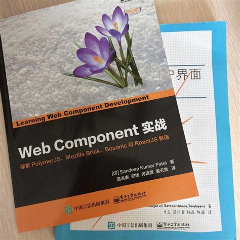 《web component 实战》翻译规范 知乎