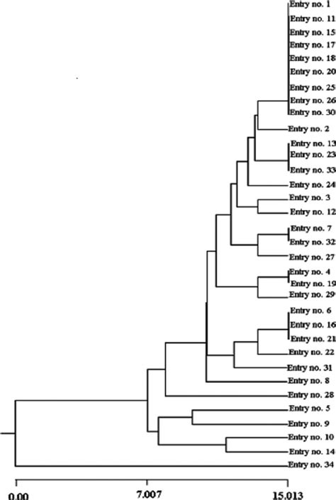 Upgma Dendrogram Illustrating The Genetic Relationships Of 34 Selected