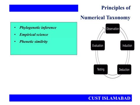 Classification Ppt