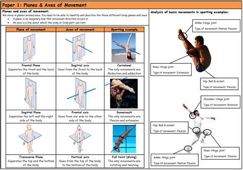Gcse Pe Aqa 9 1 Planes And Axes Of Movement Knowledge Organiser Revision Mat Teaching