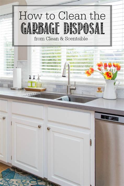 How To Clean The Garbage Disposal {all Natural} Clean And Scentsible