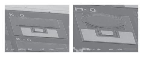 MEMS Capacitive Sensor Prototypes Fabricated At The National Institute Download Scientific