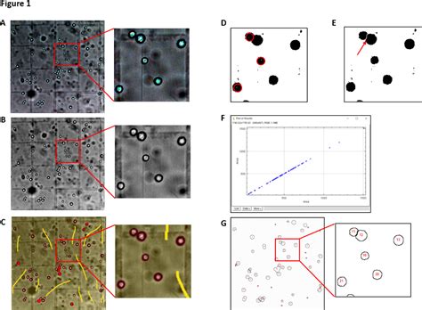 Machine Learning Based Automated Yeast Cell Counting Under A Complicated Background With Ilastik