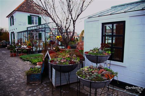 მეგობრებო Gardenia Shevardnadze • გარდენია შევარდნაძე Facebook