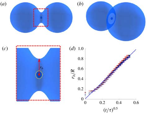 Colour Online A C Bubble Formation During The Droplet Coalescence