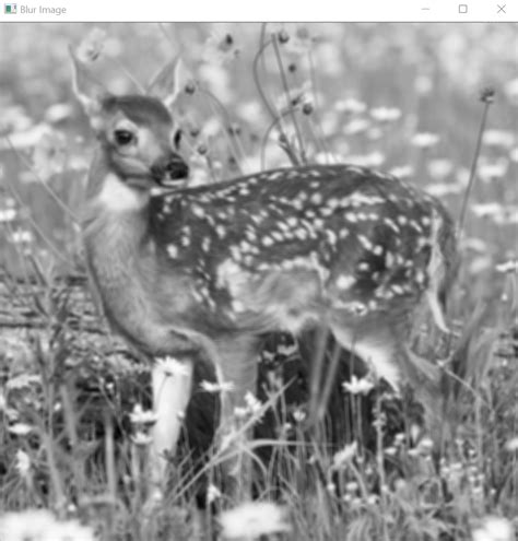 Canny Edge Detection Using Opencv Python Geeks