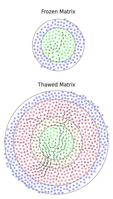 Illustration Of The Frozen And Thawed Matrix Methods Particles In An