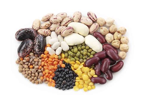 Savoir Préparer Les Légumineuses Ma Cuisine Santé