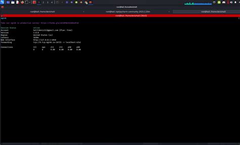 Ngrok Usage And Pyngrok Library A Comprehensive Guide Deniz Halil