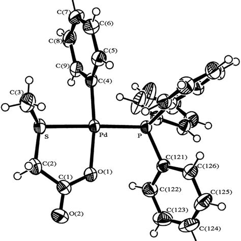 Ortep Plot Of The Molecular Structure Of Complex 2h Showing The Download Scientific Diagram