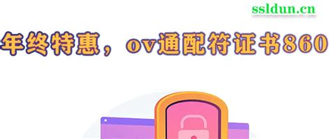 年终特惠，ov通配符ssl证书860元 网络存储 什么值得买