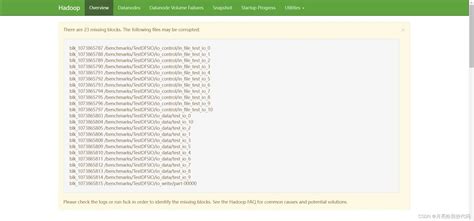 Hadoop 集群一直处于安全模式，强制退出后出现数据丢失警告。解决方法 阿里云开发者社区