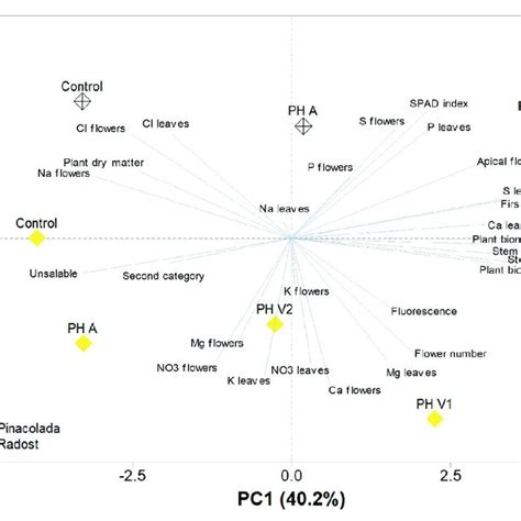 principal component loading plot and scores of principal component