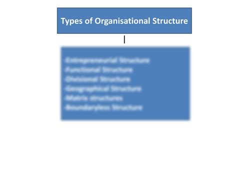 SOLUTION Types Of Organisational Structure Studypool