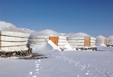 Three Camel Lodge 1619 Bulgan Soum Mongolia Glamping Hub