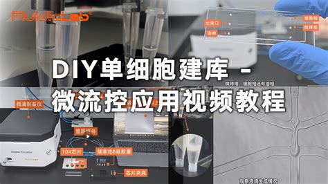 实验方案：微流控混合方式制备plga纳米颗粒 Fluidiclab微流控实验室 值得您信赖的微流控合作伙伴