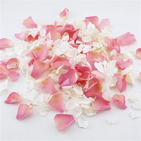 Award Winning Eco Friendly Biodegradable Dried Petal Wedding Confetti