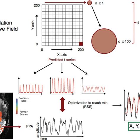 Population Receptive Field Modeling Schematic Schematic Representation Download Scientific