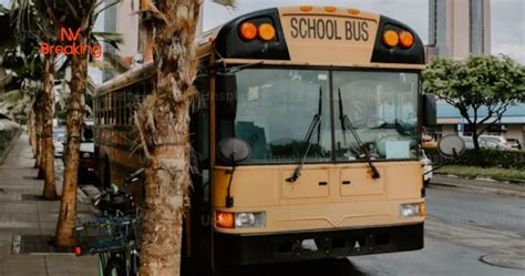 The Dynamics Of School Bus Routing Software Nvbreaking