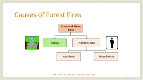 Lec 11 Forest Fire Disaster Managementpptx