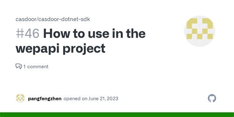 How To Use In The Wepapi Project Issue Casdoor Casdoor Dotnet