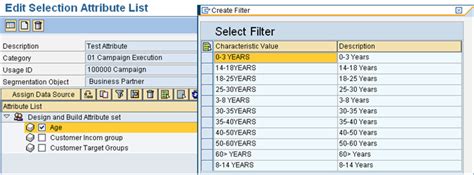 The Sap People Market Segmentation In Sap Crm Gui