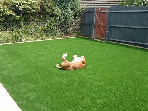 Free Artificial Grass Samples Order Online Today