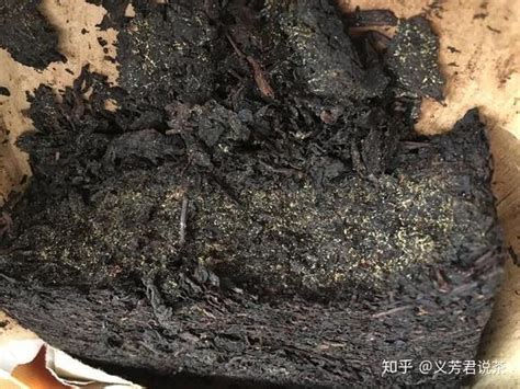 茶叶是发霉变质还是起霜发花别傻傻分不清楚 知乎