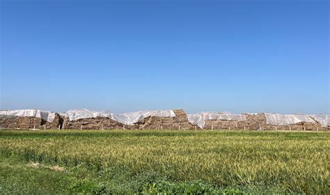 Plug Flow Digesters Advanced Renewable Energy Technology