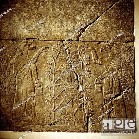 Assyrian Relief Of A Sacred Tree Flanked By Two Winged Genies Stock